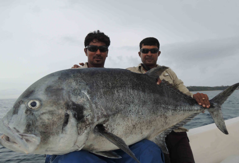 Species – Andaman Angler